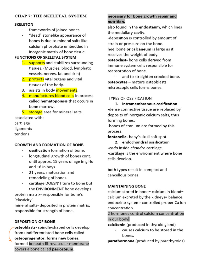 Anaphy - Skeletal System | PDF | Vertebral Column | Skull