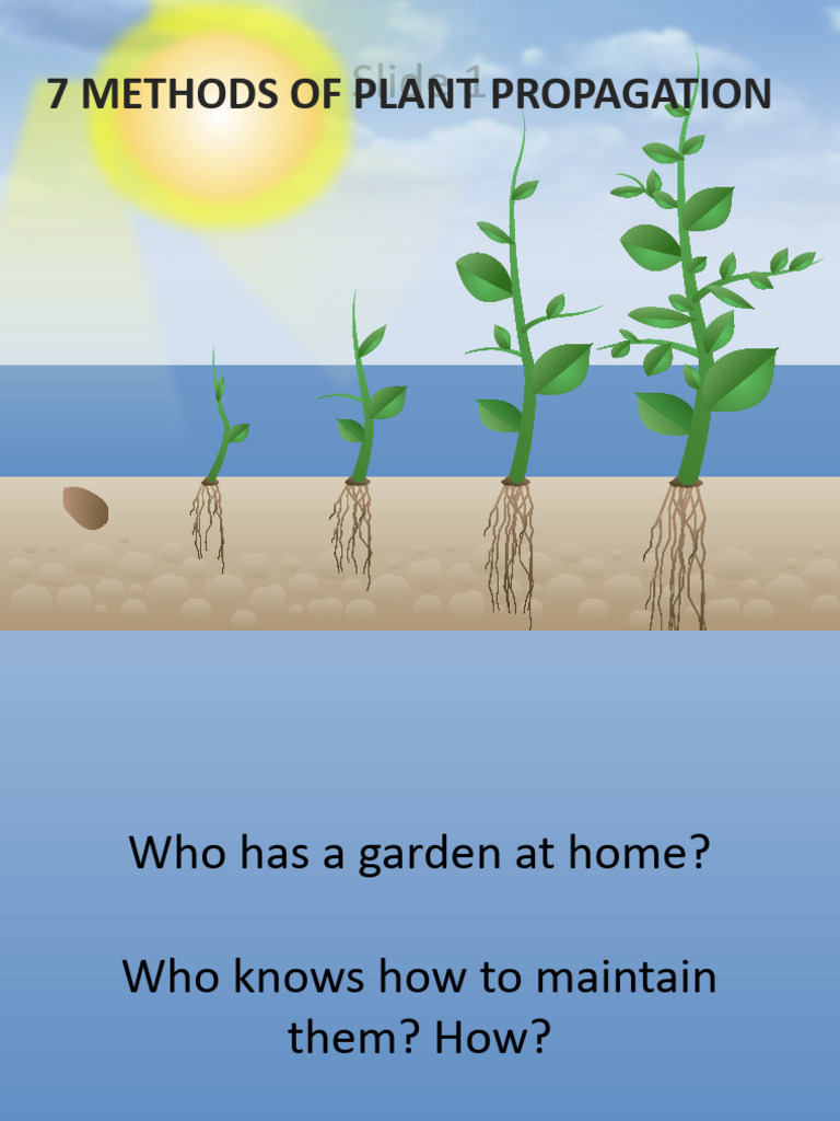 7 Methods of Plant Propagation | PDF