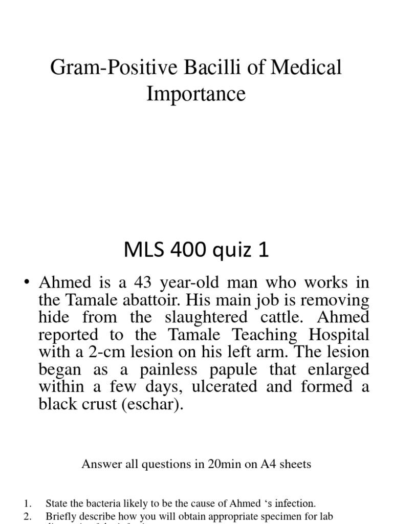 Gram-Positive Bacilli of Medical Importance I | PDF | Bacillus ...