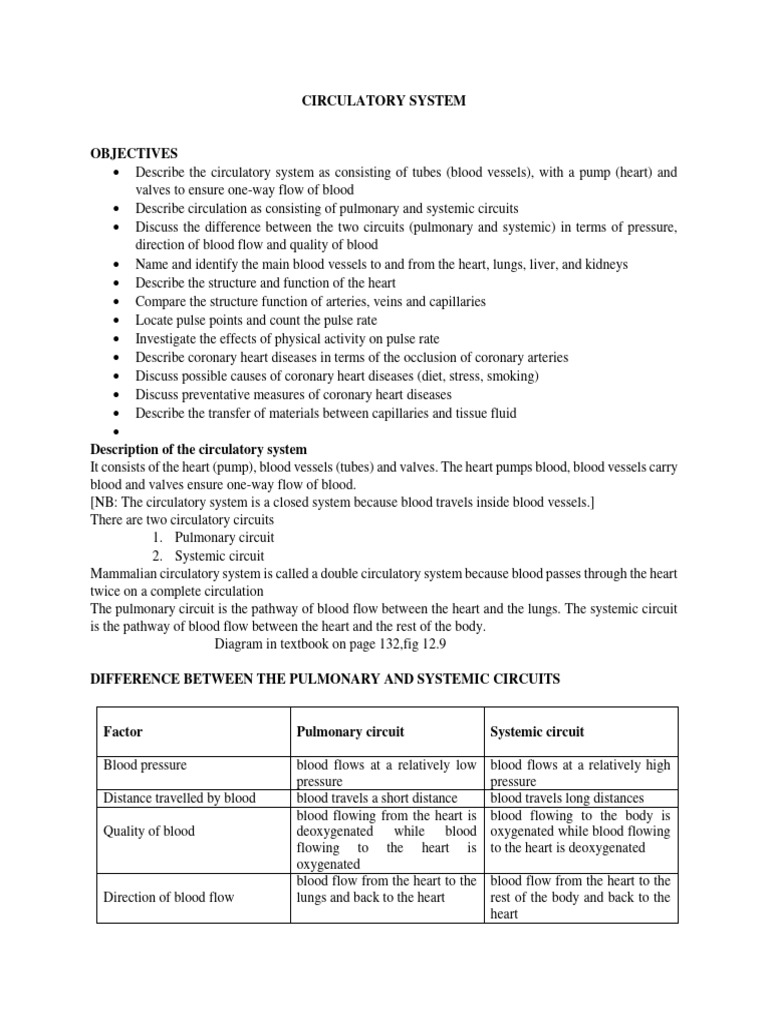 Circulatory System Edit Ongoing | PDF | Heart | Artery