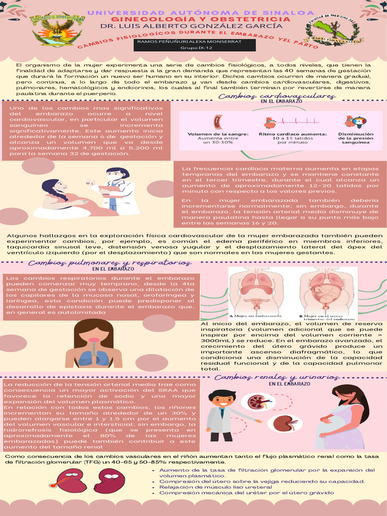Fisiología Embarazo y Parto | PDF | El embarazo | Hormona ...