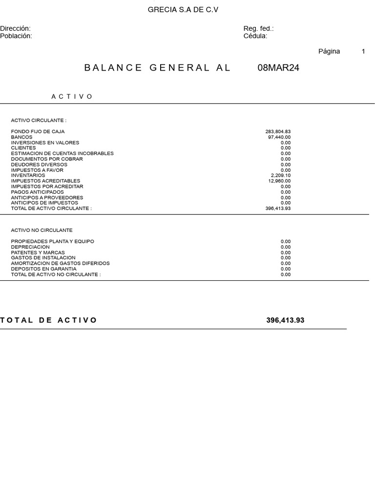 Balance General 2024 de Nunca Falto S.A. | PDF | Finanzas personales ...