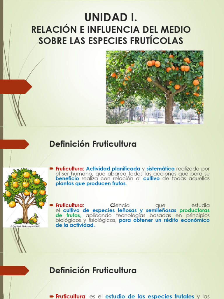 Intro Arbol Frutal | PDF | Agricultura | Arboles