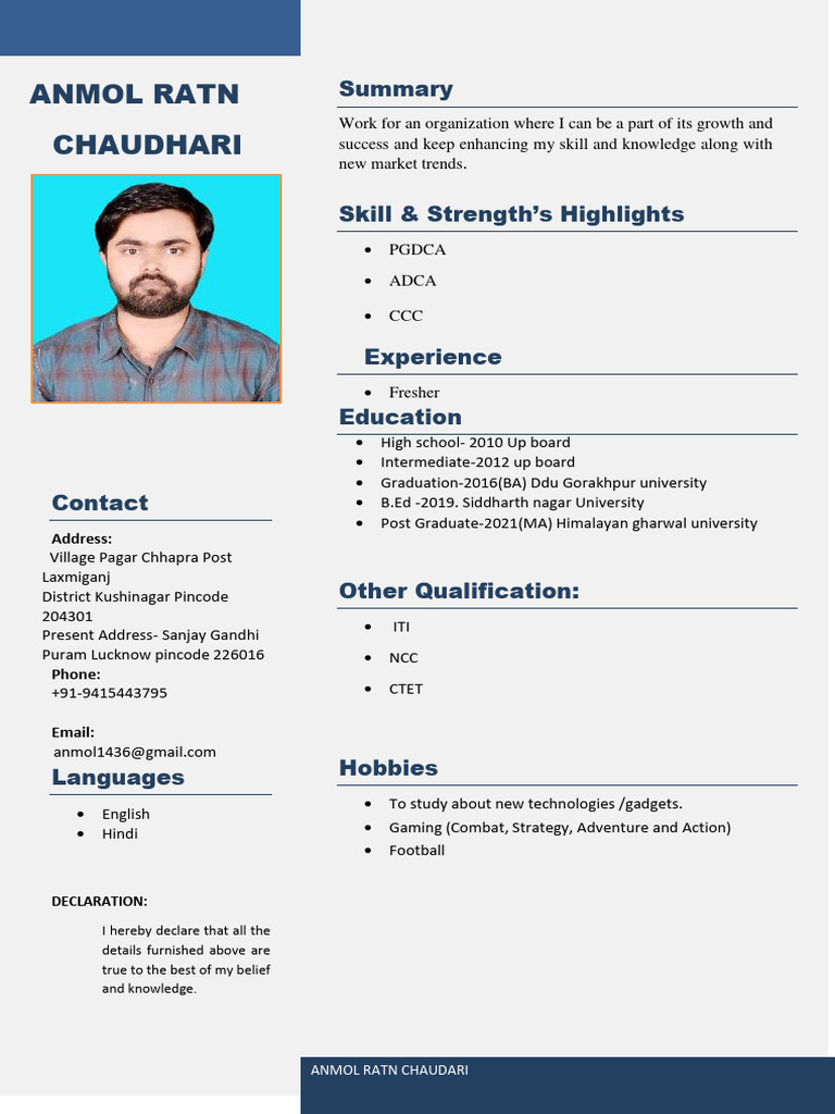 Best CV | PDF
