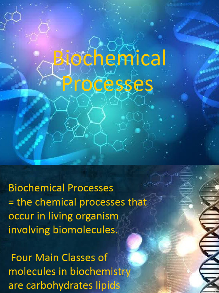 Module 1 Biochemical Processes | PDF | Osmosis | Diffusion