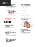Anatomy Heart Cadaver | PDF | Heart Valve | Coronary Circulation