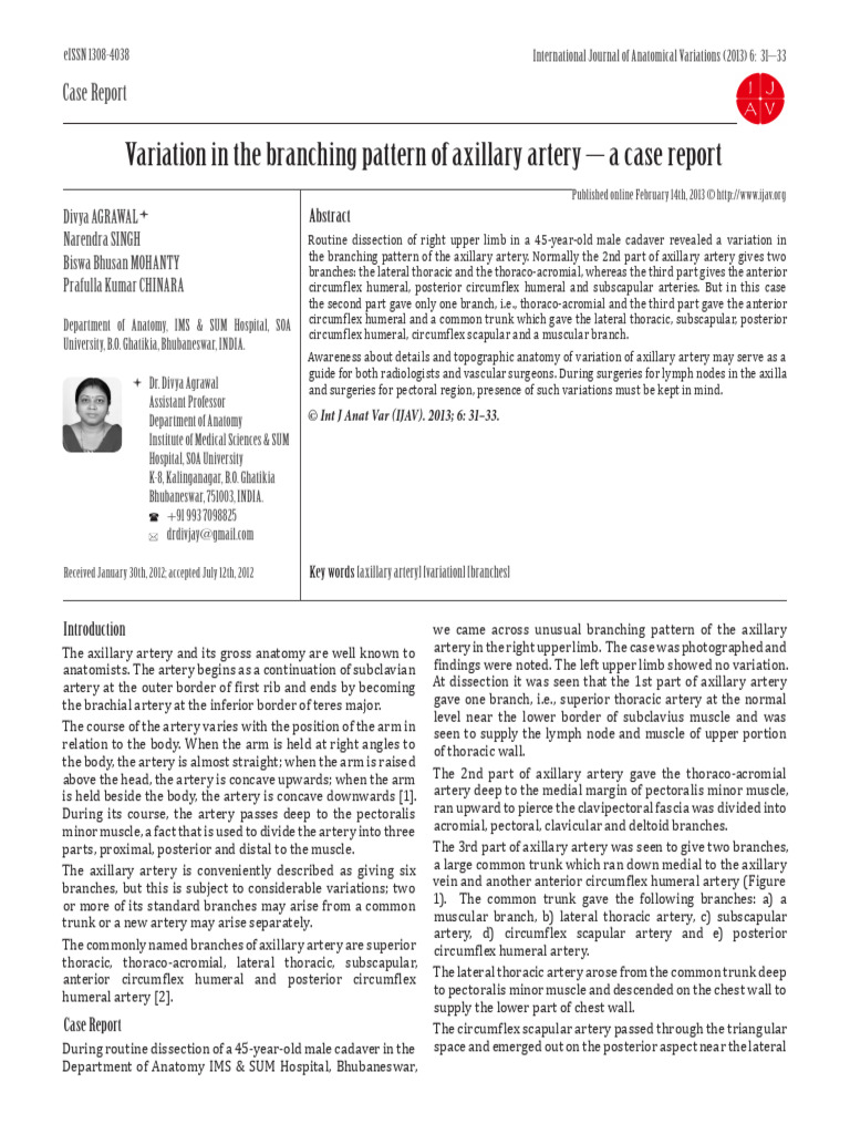 Axillary Artery IJAV | PDF | Arm | Cardiovascular System