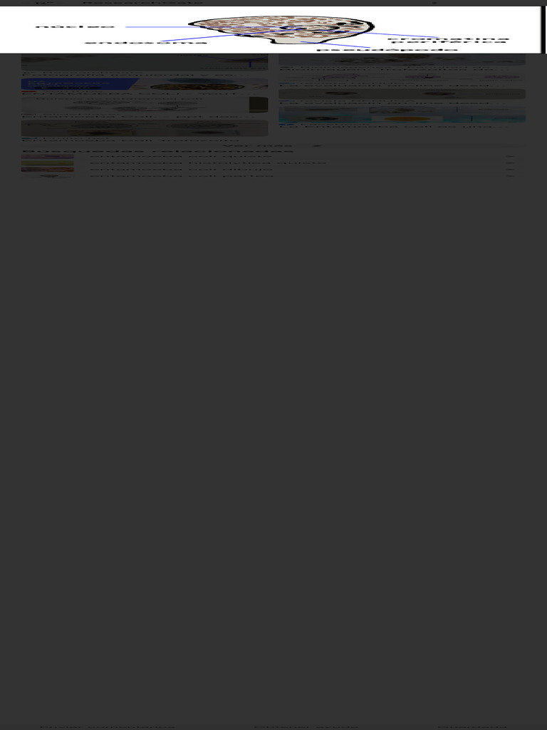 Entamoeba Coli en Su Fase de ( (Quiste Inmaduro (Biología) Quiste ...