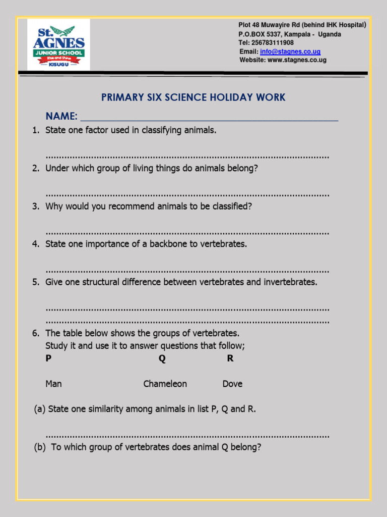 Primary Six Science Holiday Work NAME | PDF | Bat | Mammals