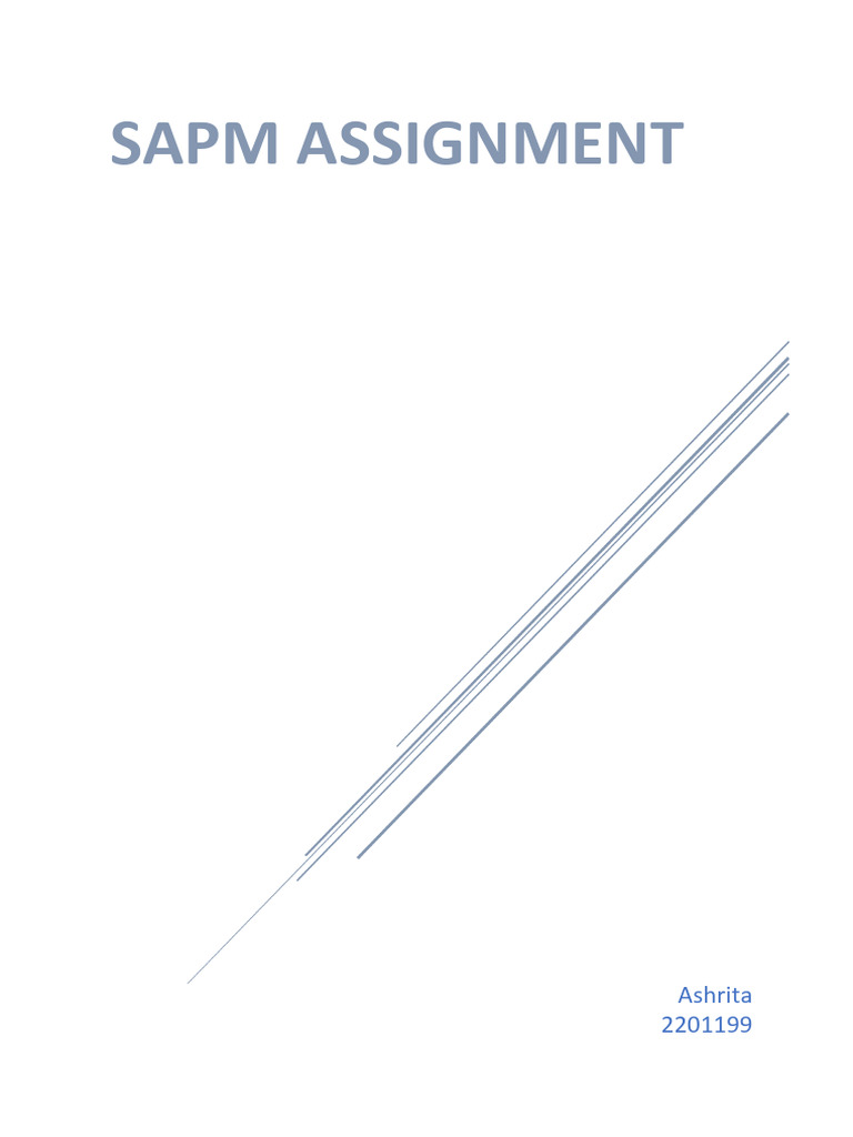 Sapm Word | PDF | Capital Asset Pricing Model | Beta (Finance)