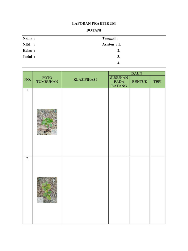 BOTANI - LAPORAN IDENTIFIKASI 50 TUMBUHAN Afdil | PDF