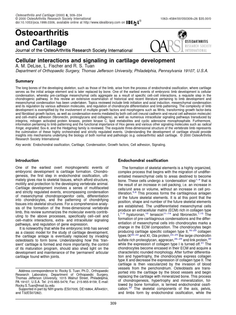 2000 - Cell Signaling in Cartilage Development | PDF | Extracellular ...