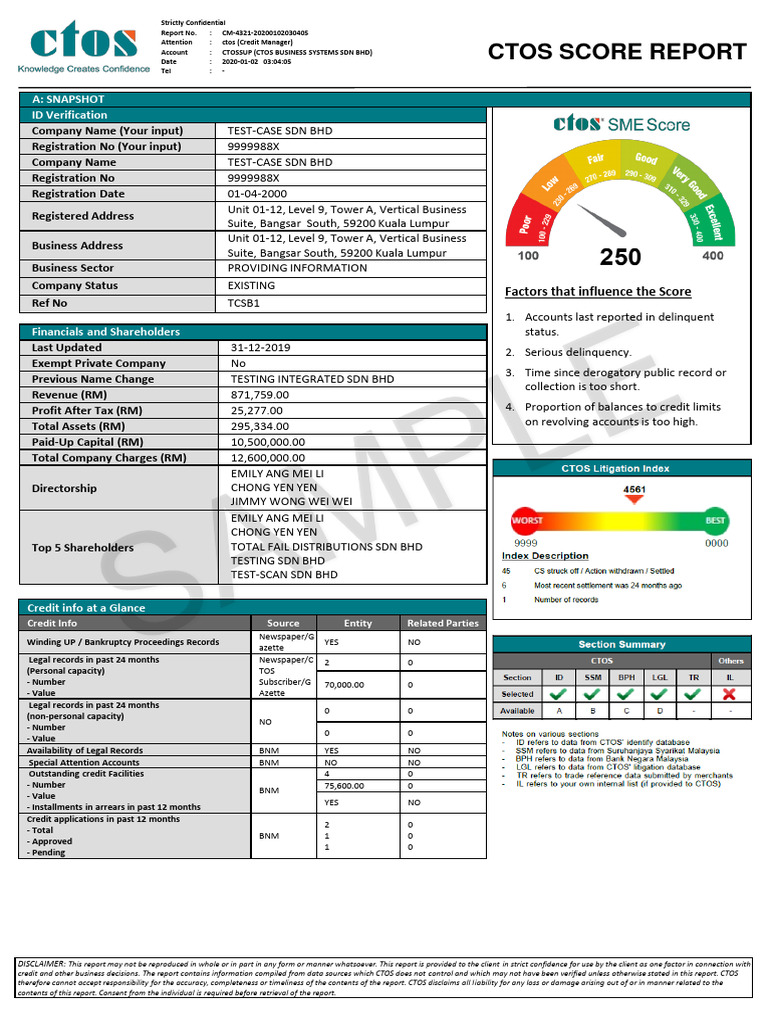CTOS SCORE REPORT | PDF | Dividend | Balance Sheet