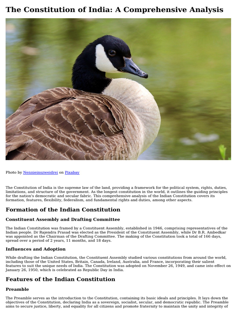The Constitution of India Essay | PDF | Constitution | Governance