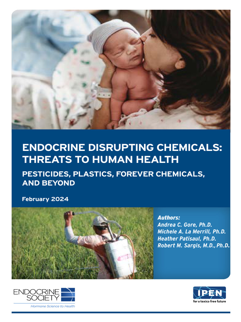 Endocrine Disrupting Chemicals Overview | PDF | Hormone | Hypothalamus