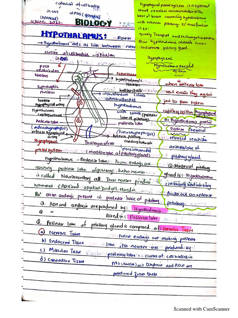 Handwritten Biology Notes PDF | PDF