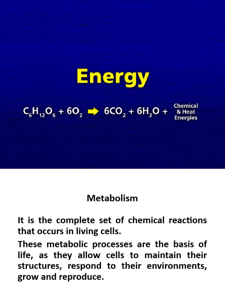 Biochemistry - Fundamentals of Energy Exchange MSC | PDF | Metabolism ...