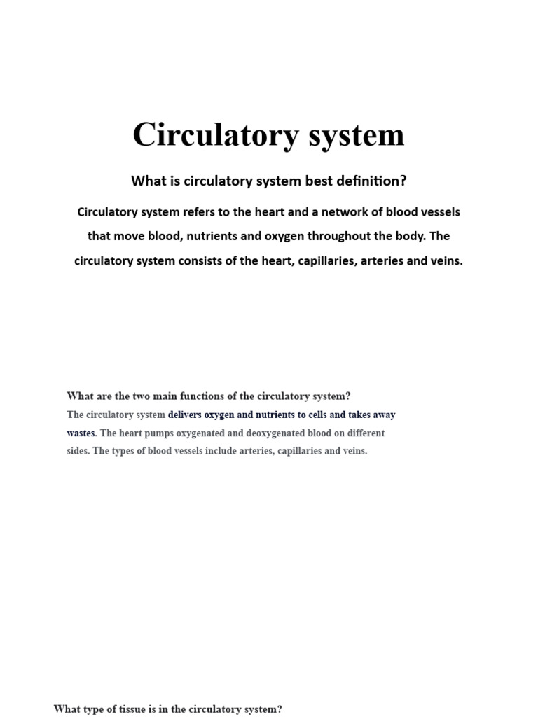 What Is Circulatory System Best Definition? | PDF | Artery | Heart