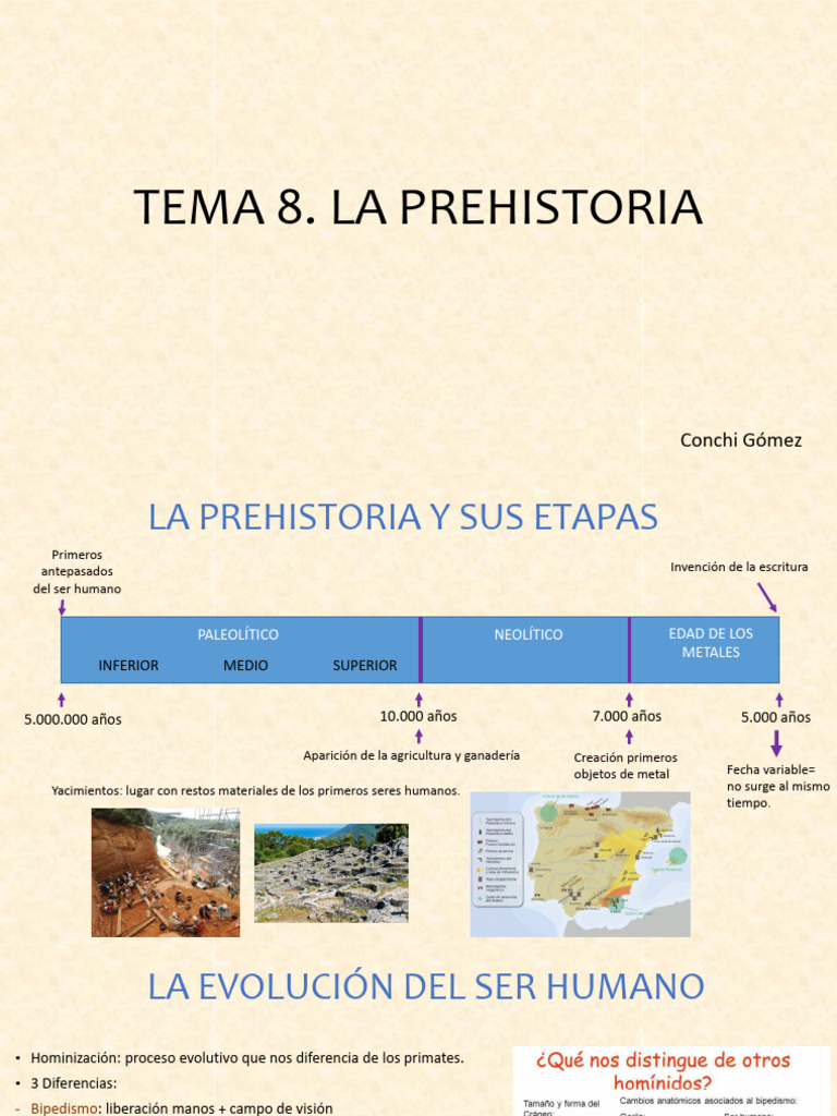 TEMA 8. La Prehistoria | PDF | Neolítico | Humano