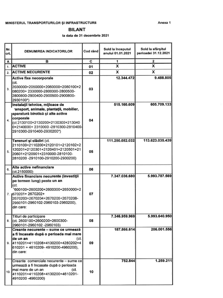 Bilant Contabil Pentru Anul 2021 | PDF