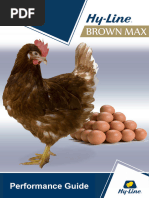Hy-Line Brown Management Guide 2024 | PDF | Nutrition | Diet & Nutrition