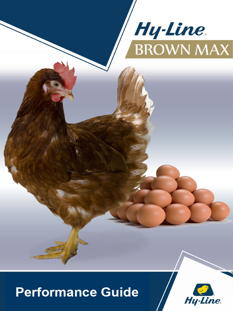 Hy-Line Brown Max Management Guide 2024 | PDF | Nutrition | Diet ...