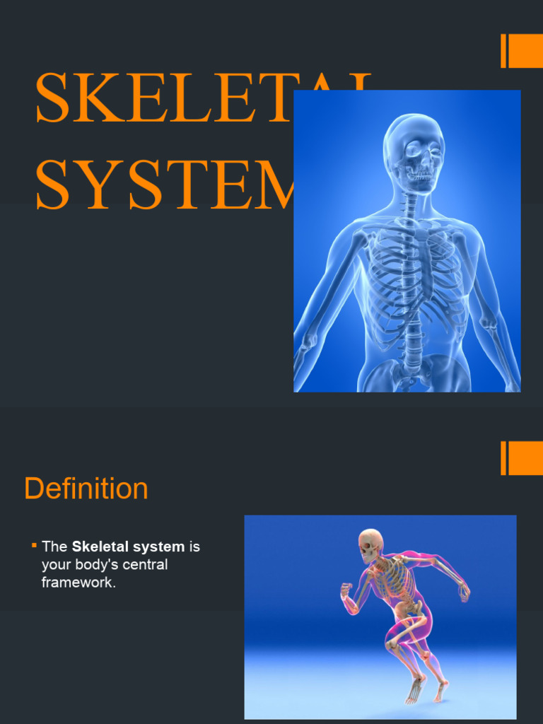 Skeletal Ppt | PDF | Human Musculoskeletal System | Skeleton