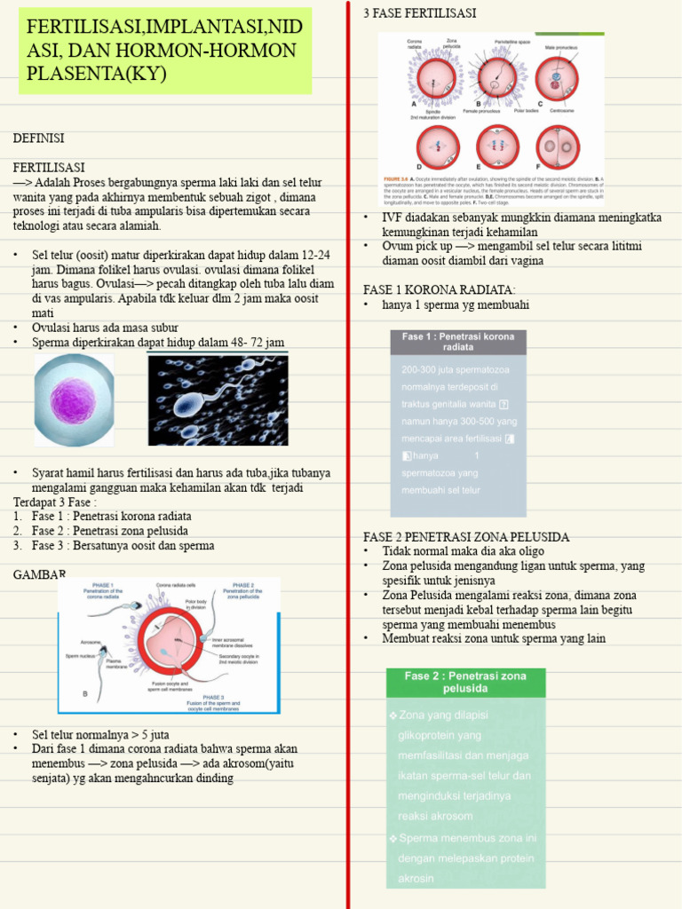 Fertilisasi, Implantasi, Nidasi, Dan Hormon-Hormon Plasenta (Ky) | PDF