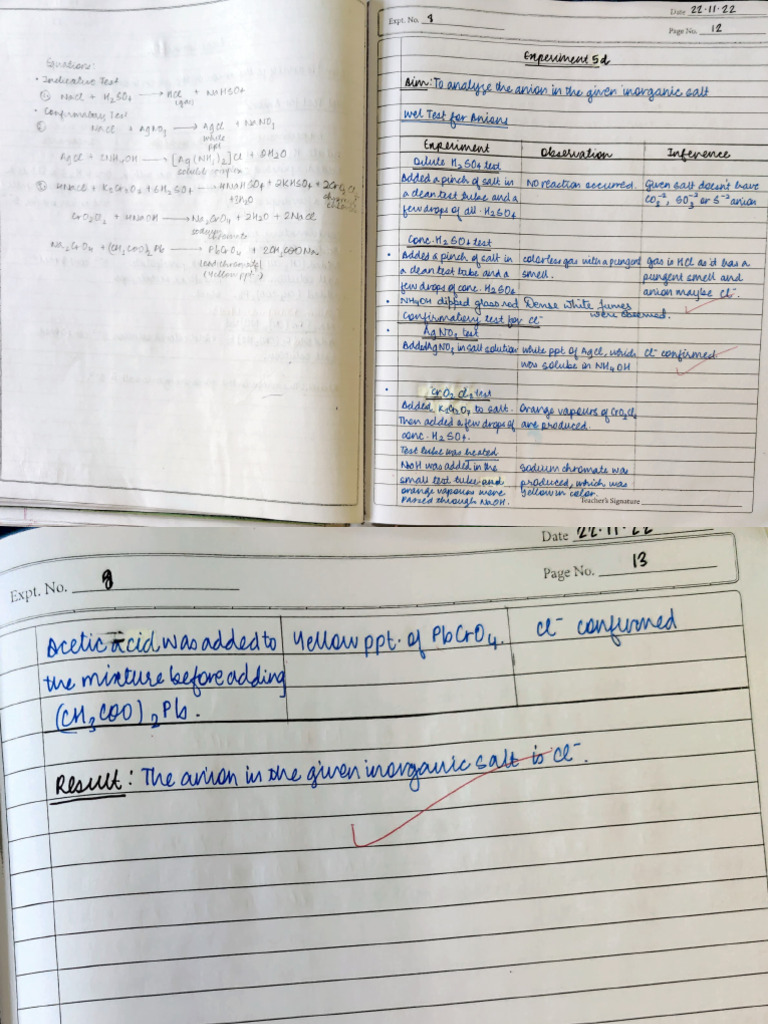 Salt Analysis Conc. and Independent Anions | PDF