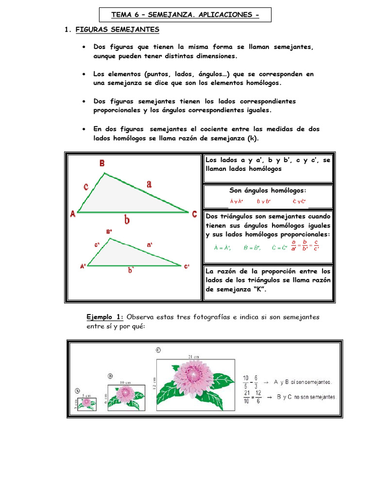 Tema 6 - Semejanza | PDF | Triángulo | Geometría triangular