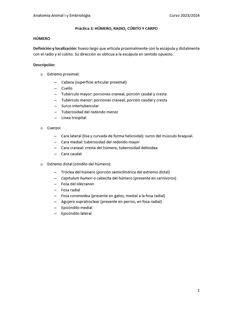 Anatomía del Húmero, Radio y Cúbito | PDF | Codo | Términos anatómicos ...