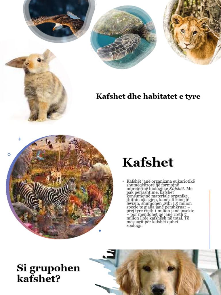 Kafshet Dhe Habitatet e Tyre | PDF