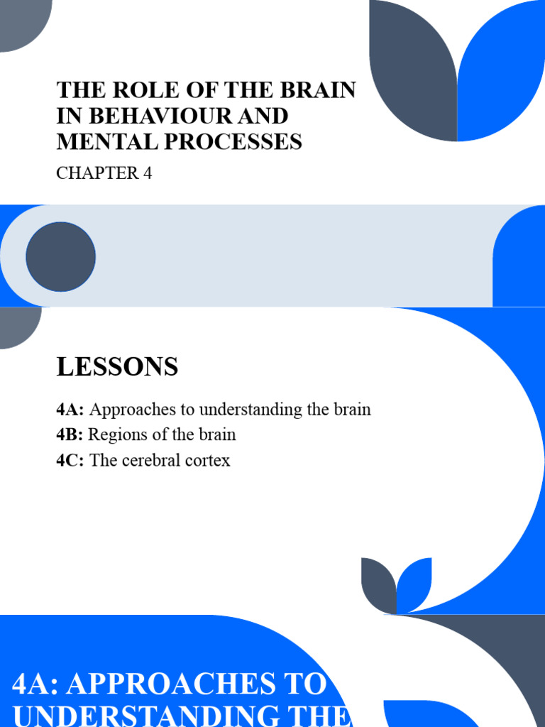 4 - The Role of The Brain in Behaviour and Mental Processes | PDF | Brainstem | Somatosensory System