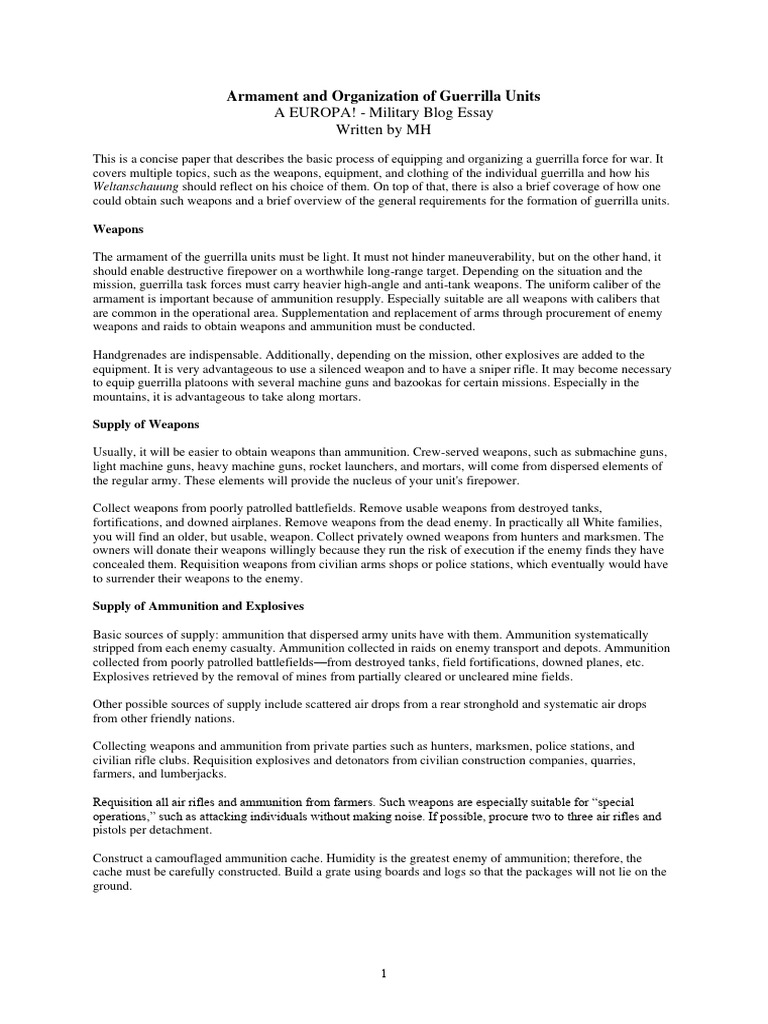 Guerrilla Unit Armament and Gear Guide | PDF | Platoon | Ammunition