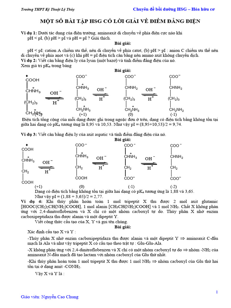 HSG Diem Dang Dien Amino Axit | PDF