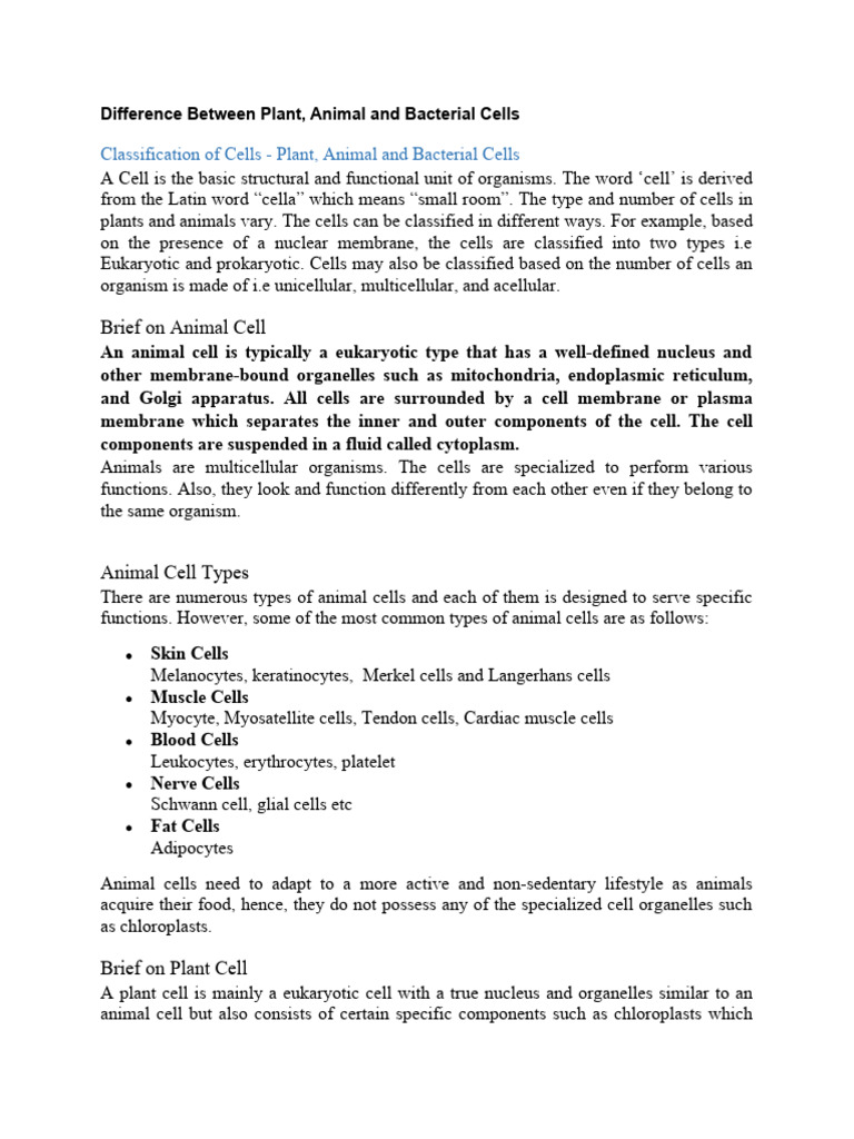 Comparing Plant, Animal, and Bacterial Cells | PDF | Cell (Biology ...