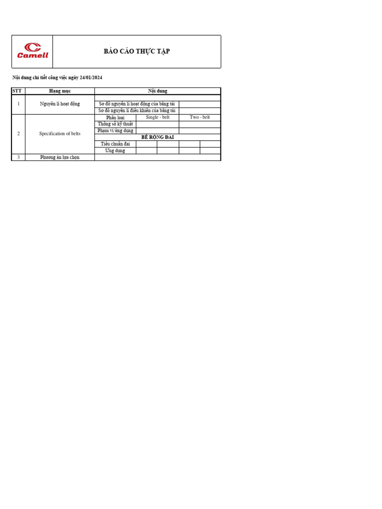 CAMELIA-Sinhvien BK HCM - Thuc Tap 2024 | PDF