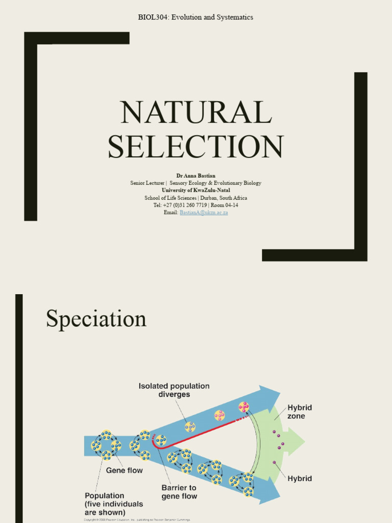 2 Natural Selection1 Upload | PDF