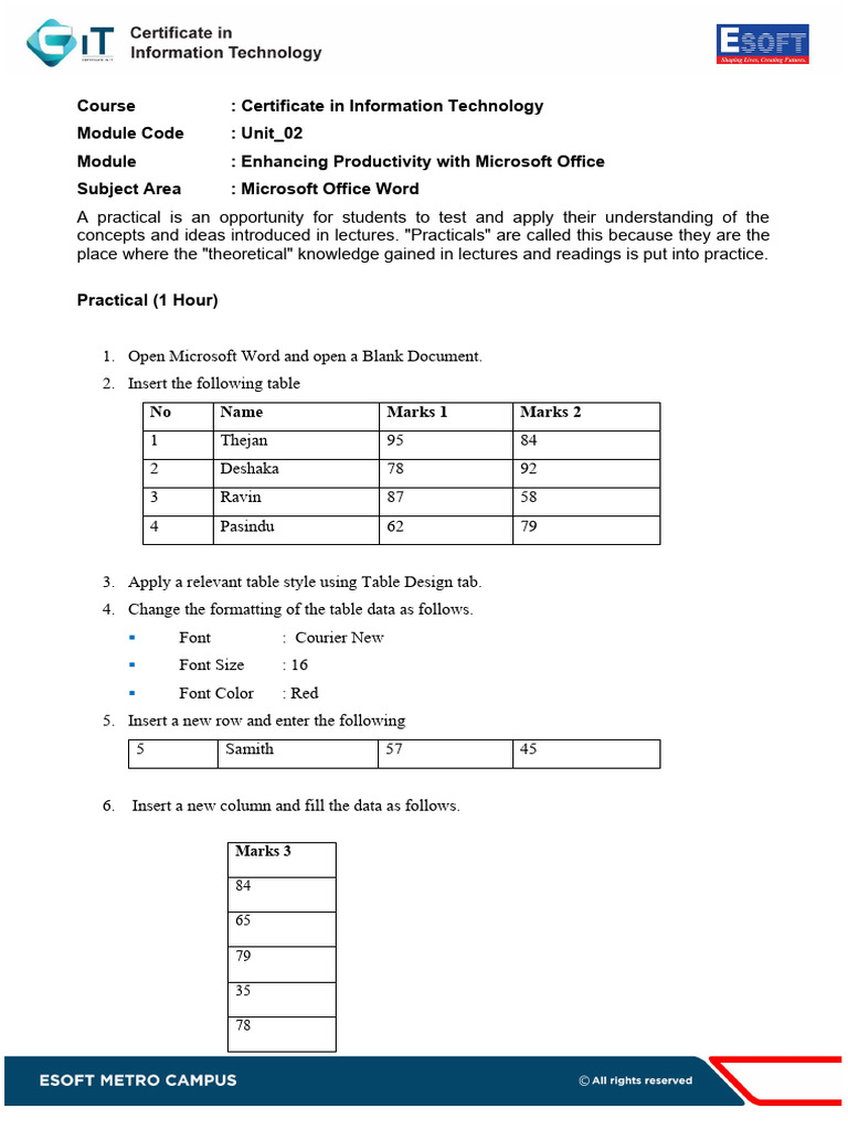 MS Word Practical Assignment Guide | PDF | Microsoft Word | Computing