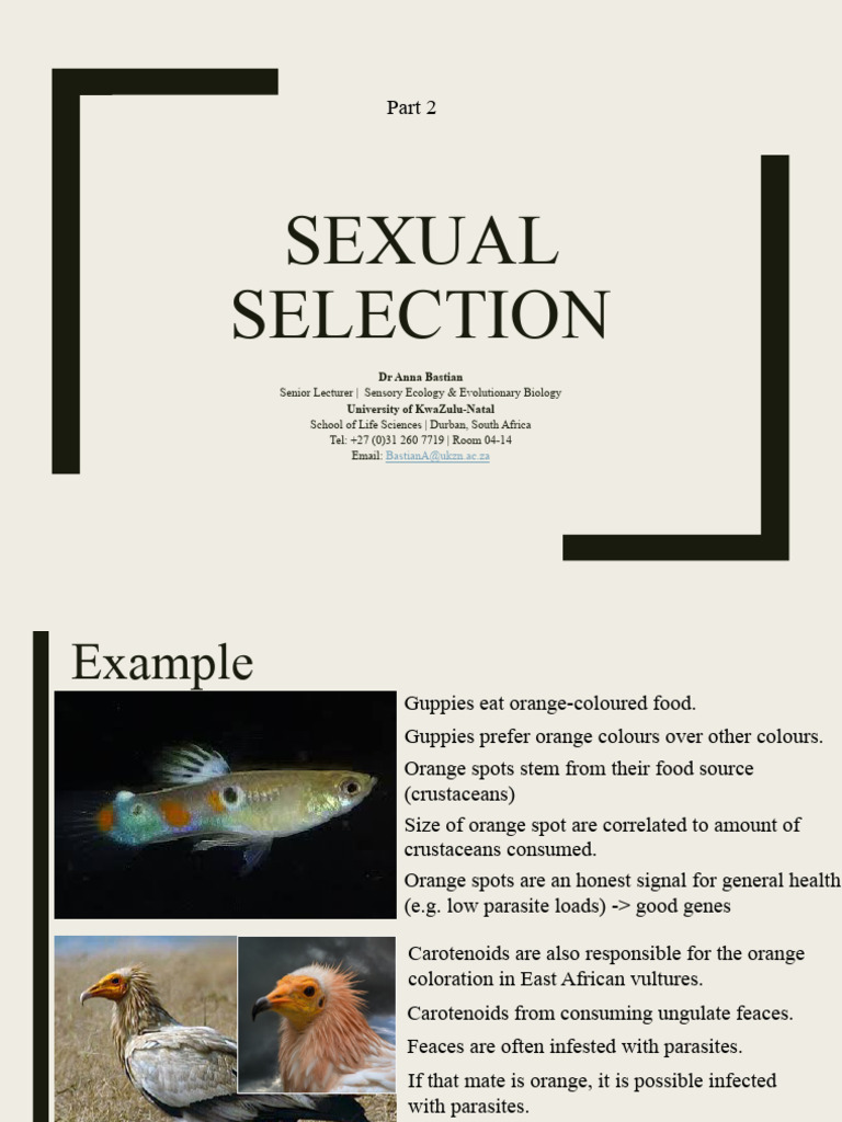 Sexual Selection and Honest Signals | PDF | Natural Selection ...