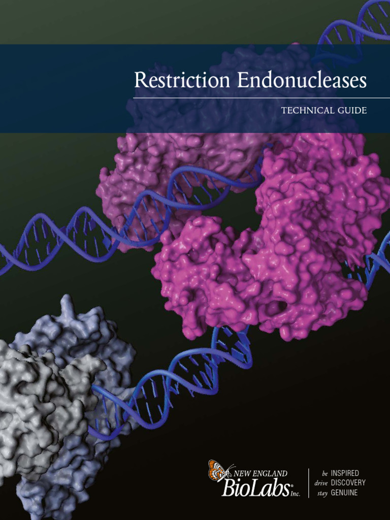 Restriction Endonuclease Technical Guide | PDF | Restriction Enzyme ...