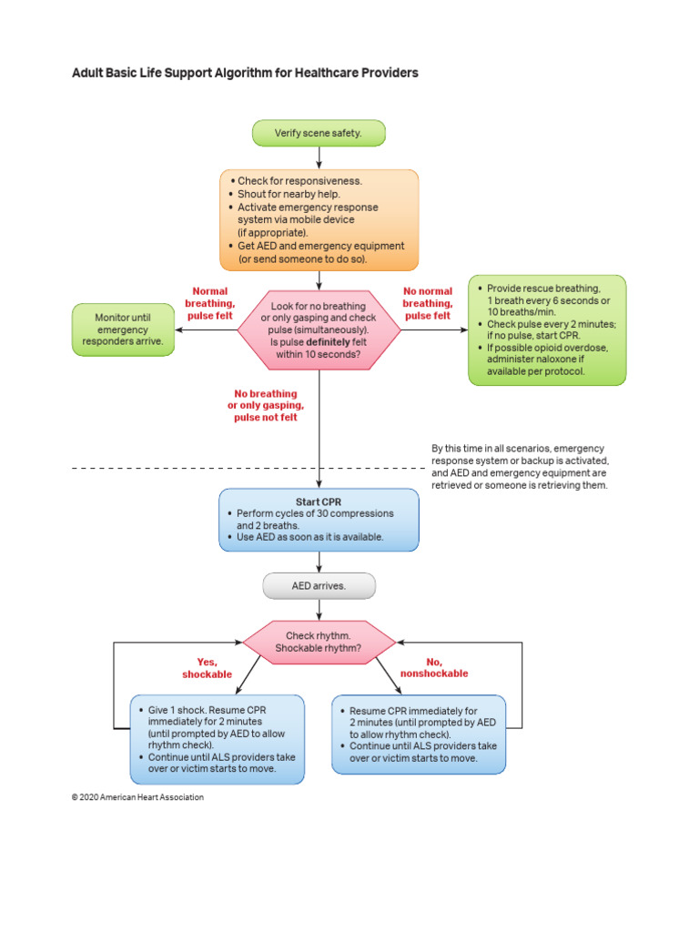 BLS + CPR | PDF | Cardiopulmonary Resuscitation | Cardiac Arrest