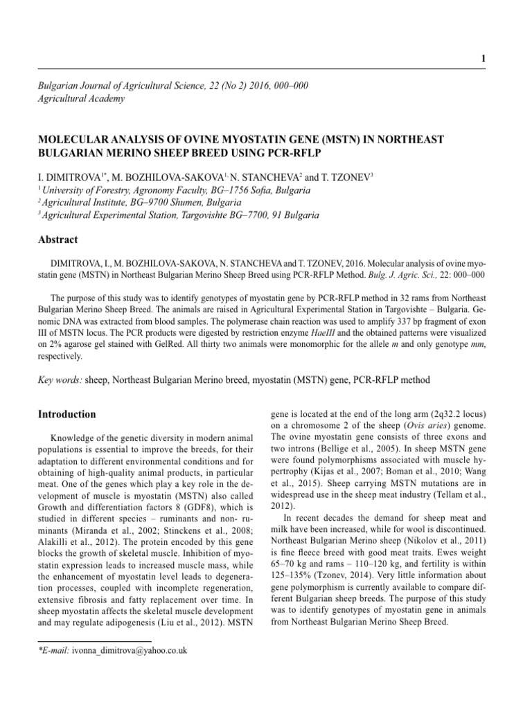 Myostatin Molecular Analysis of Ovine Myostatin Ge | PDF | Polymerase Chain Reaction | Life Sciences