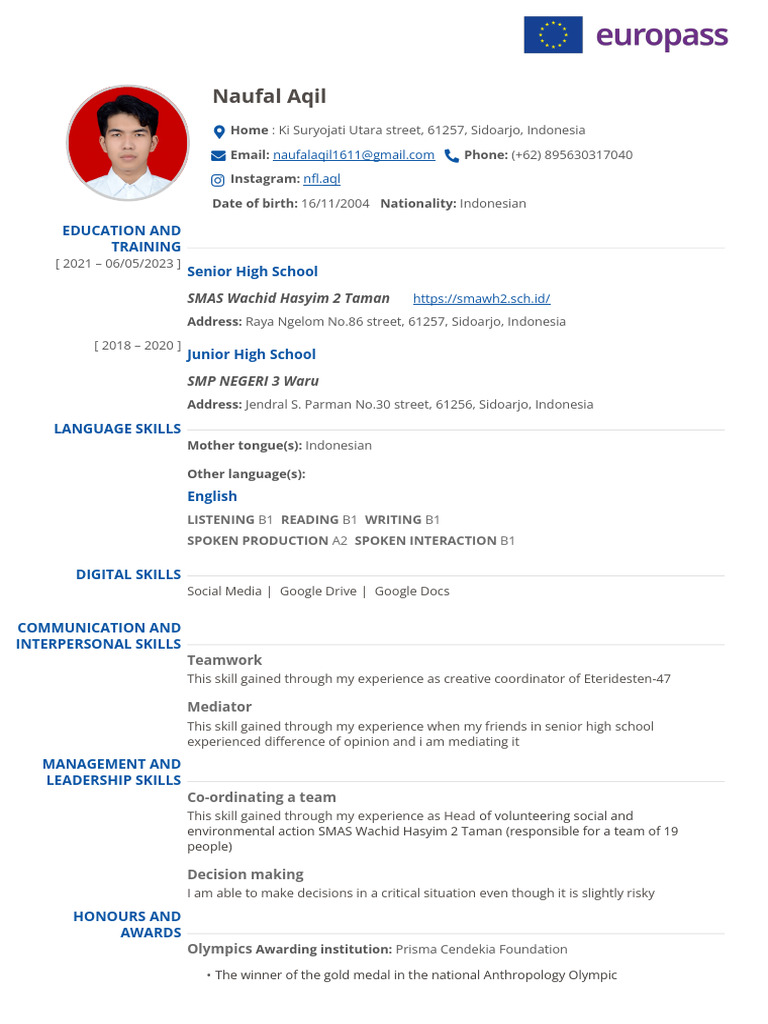 CV - Naufal Aqil | PDF | Behavioural Sciences | Human Communication