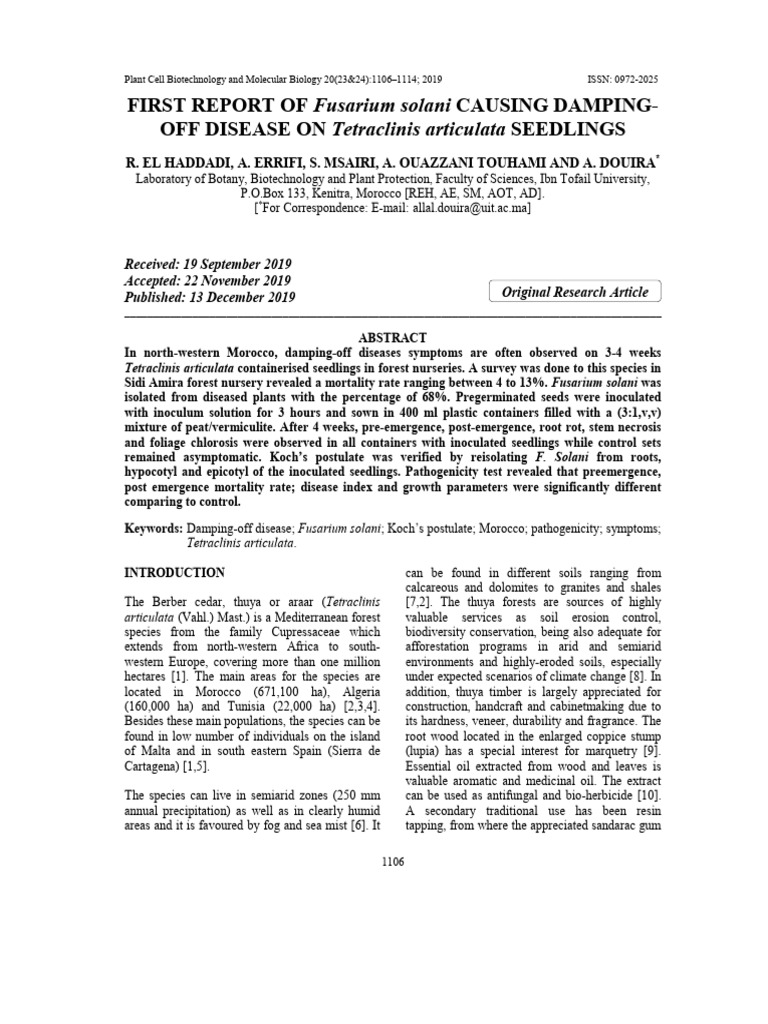 Article 1 First Report of Fusarium Solani 2019 | PDF | Root | Fungus
