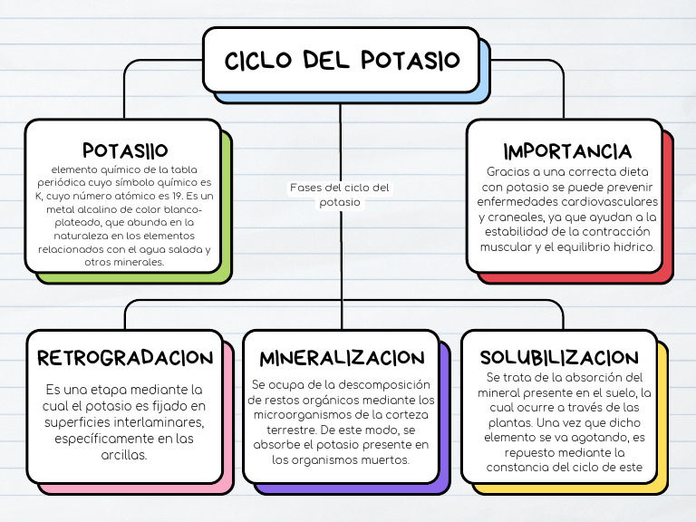 Mapa Del Ciclo Del Potasio | PDF