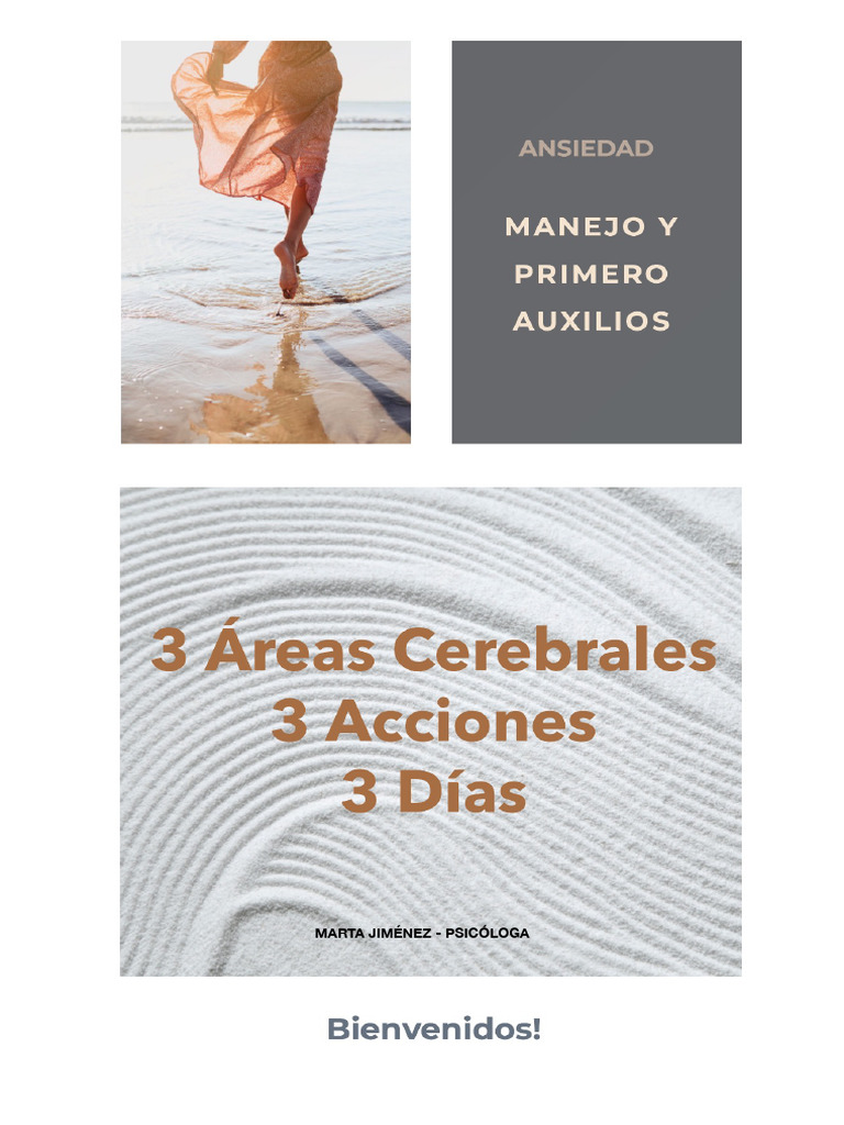 Ansiedad Manejoyprimerosauxiliost1 Pdf Ansiedad Las Emociones