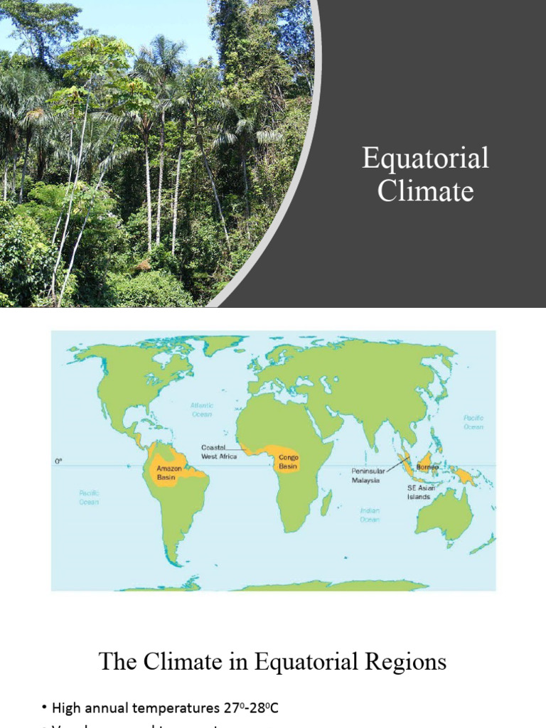 Equatorial Climate | PDF | Soil | Rainforest