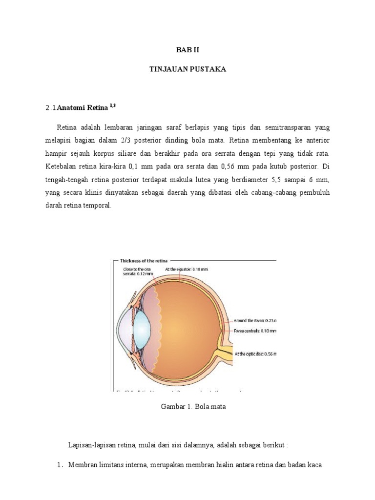 Oklusi Vena Retina Sentralis | PDF | Sains & Matematika