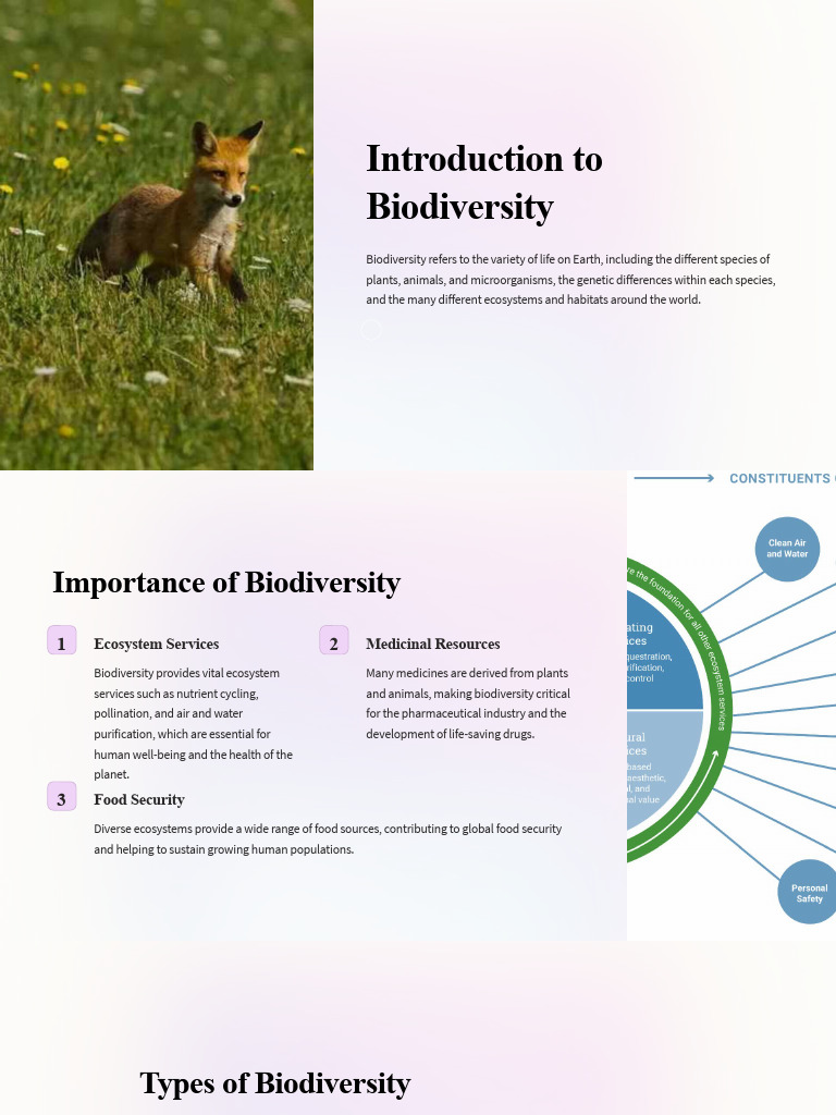 Introduction To Biodiversity | PDF | Biodiversity | Conservation Biology